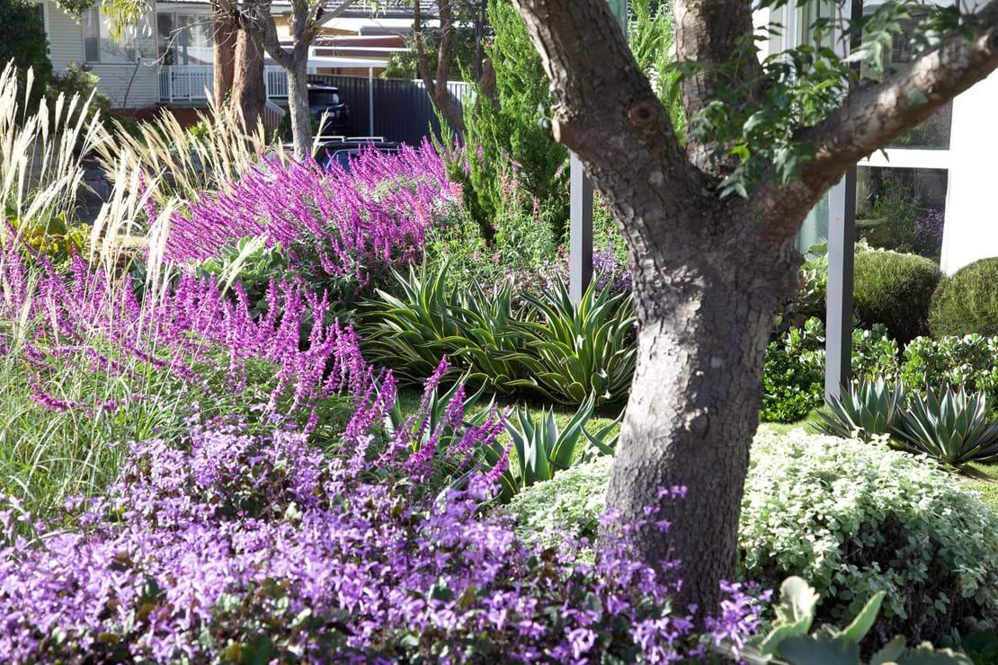 PLANTSCAPE DESIGN WINNERS